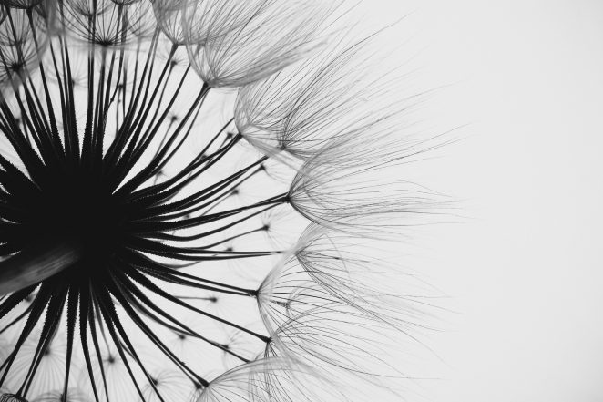 EQ investors portfolios risk profiled on Dynamic Planner - Dynamic ...