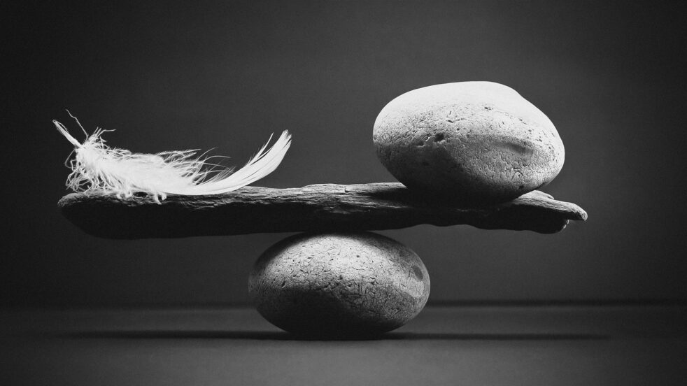 Urban Synergy and Dynamic Planner Embracing Equity on International Women's Day - Dynamic ...