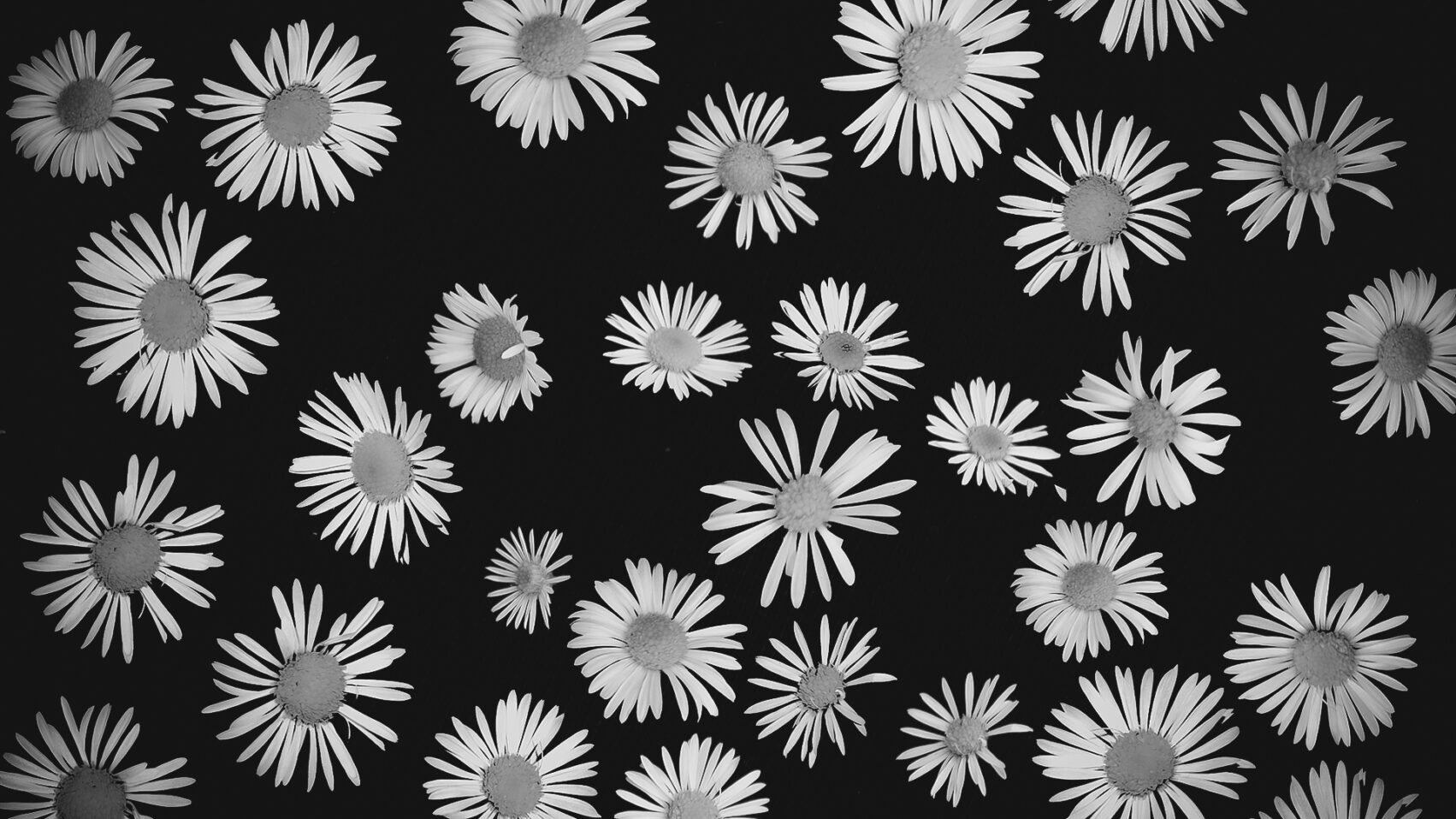 Dynamic Planner launches Financial Wellbeing Questionnaire to meet ...