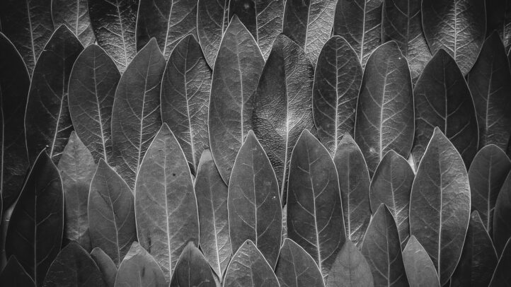 Login - Dynamic Planner