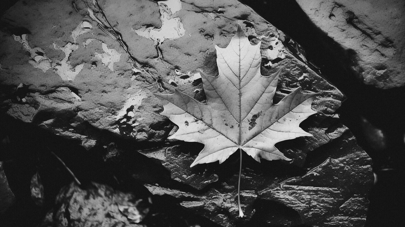 Investors with strong risk appetite place less importance on ...