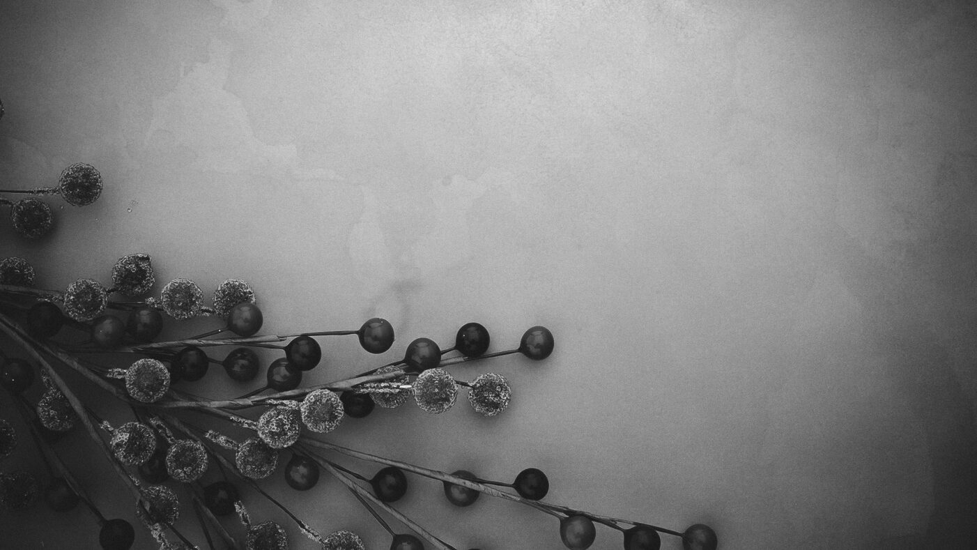 The digital future of financial planning - Dynamic Planner