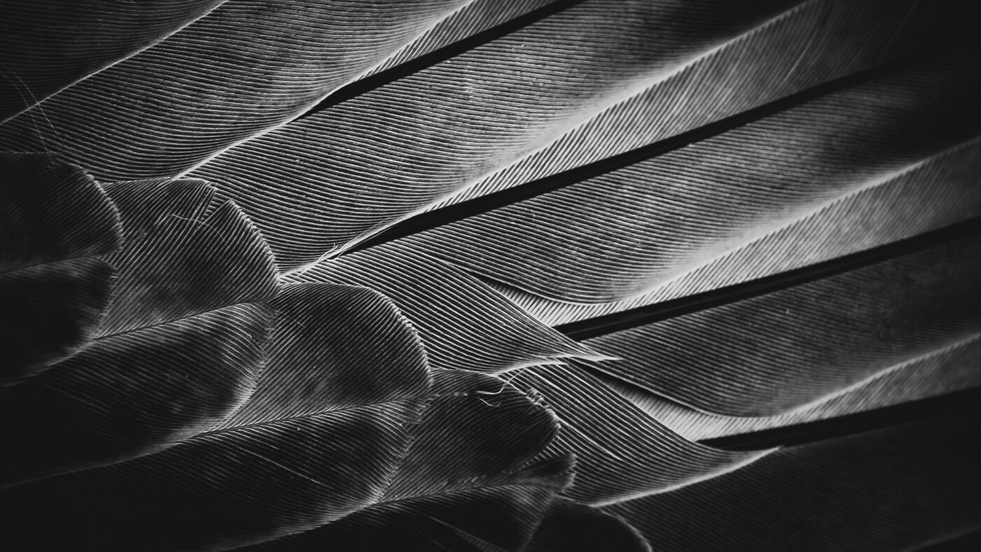 Login - Dynamic Planner