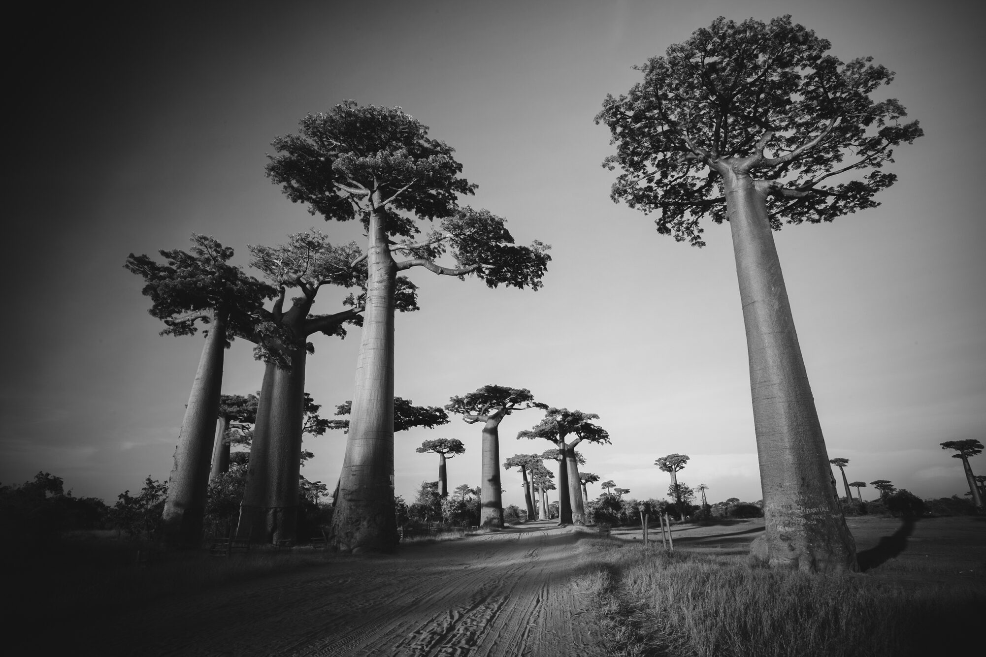 Dynamic Planner now risk rating Omba’s Managed Portfolio Service ...