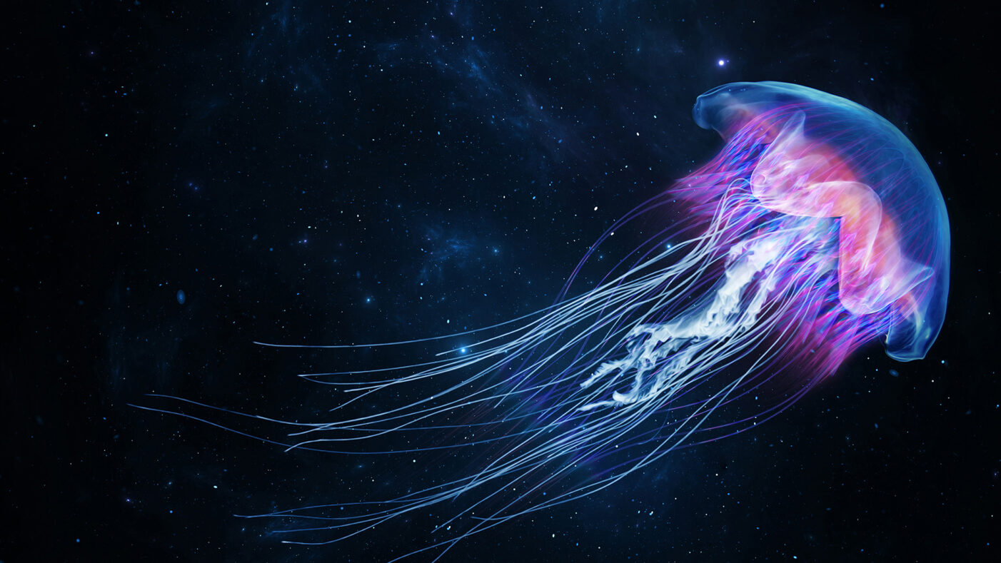 Dynamic Planner teams up with Salesforce to deliver financial planning ...