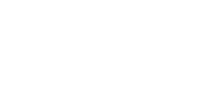 Pricing - Dynamic Planner Ltd