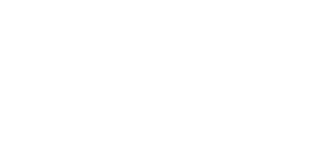 Pricing - Dynamic Planner Ltd